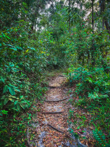 Finding Paradise: Unplugging in Koh Rong Sanloem, Cambodia
